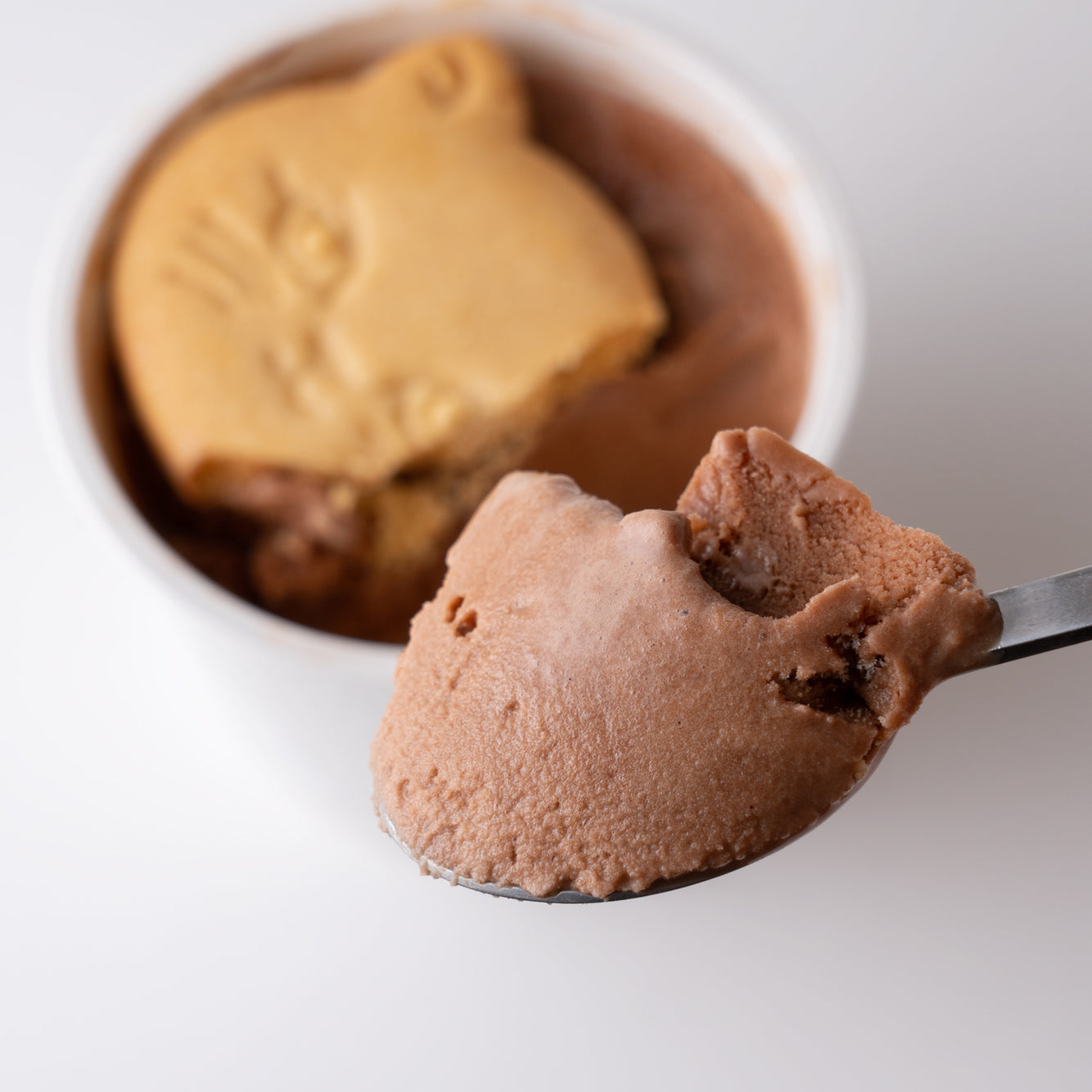 こねこのこねこねクッキーアイス 6種セット ｜DADACA Online Store