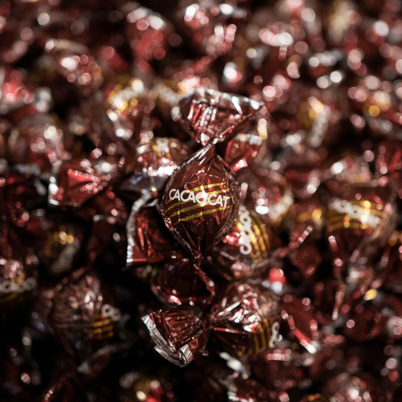 ミルク 5個入り ｜DADACA Online Store